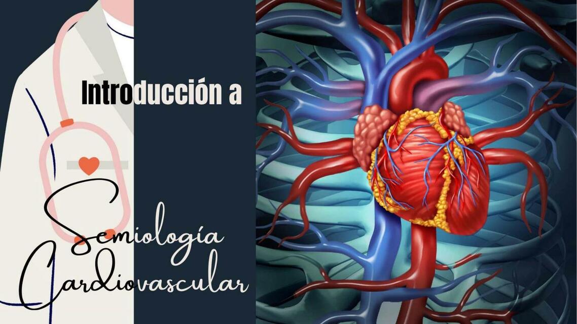 Semiologia vascular | ROSSANA JANETH VASQUEZ VERASTEGUI | uDocz