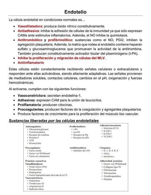 Endotelio y disfunción endotelial / Aterosclerosis | Jaz | uDocz