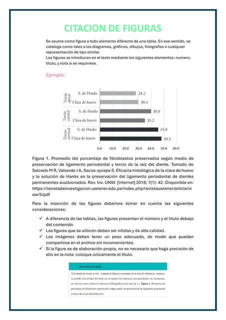 Citacion de FIGURAS | Erica AF | uDocz