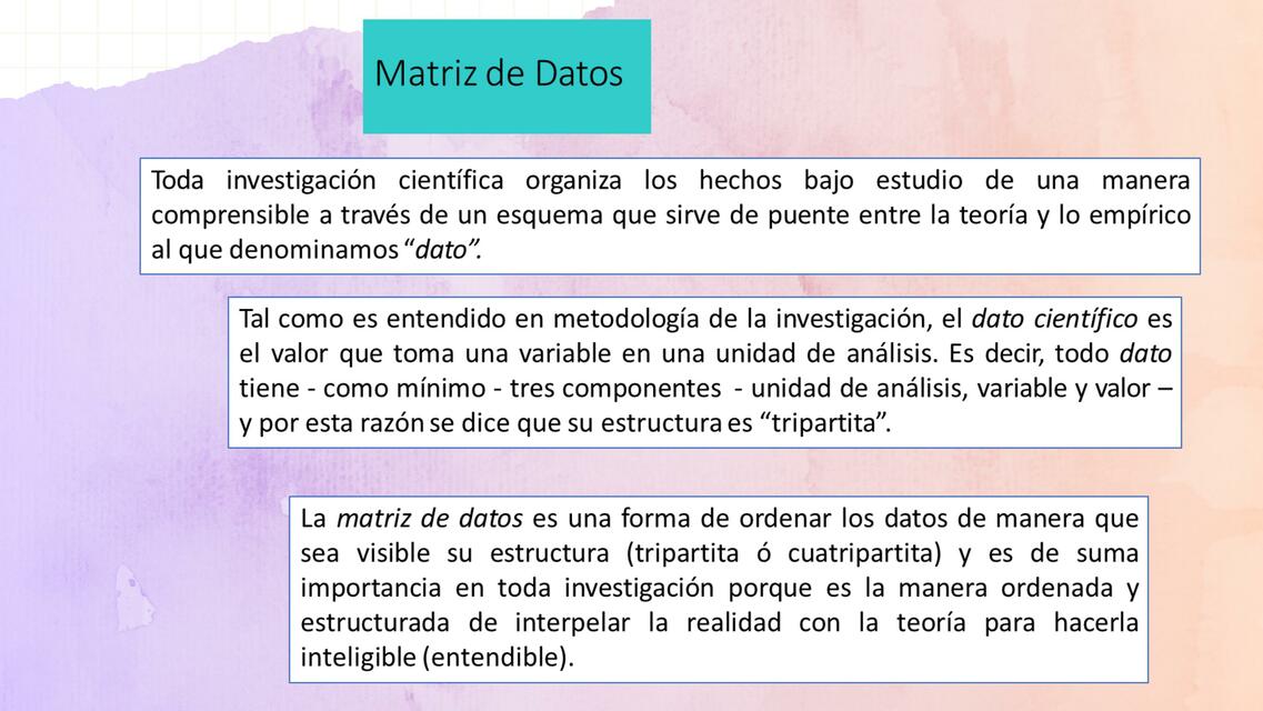 Matriz de datos | Erica AF | uDocz