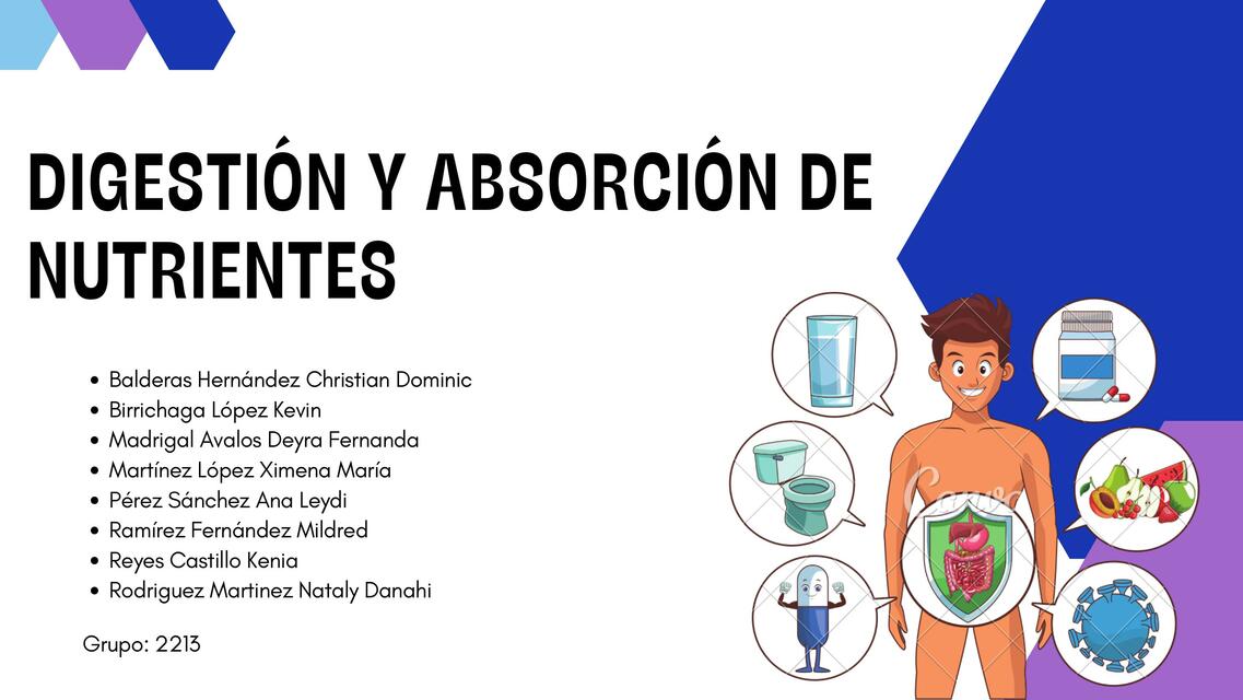 Digestión y absorción de nutrientes | Jessy González | uDocz
