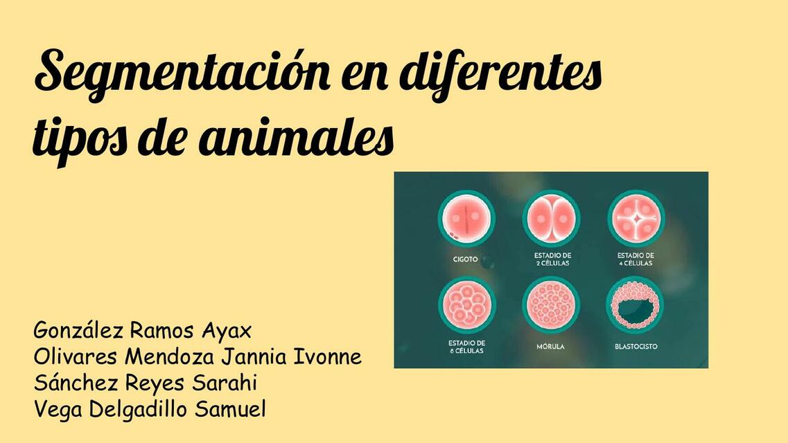 Segmentación en Diferentes Tipos de Animales | Jessy González | uDocz