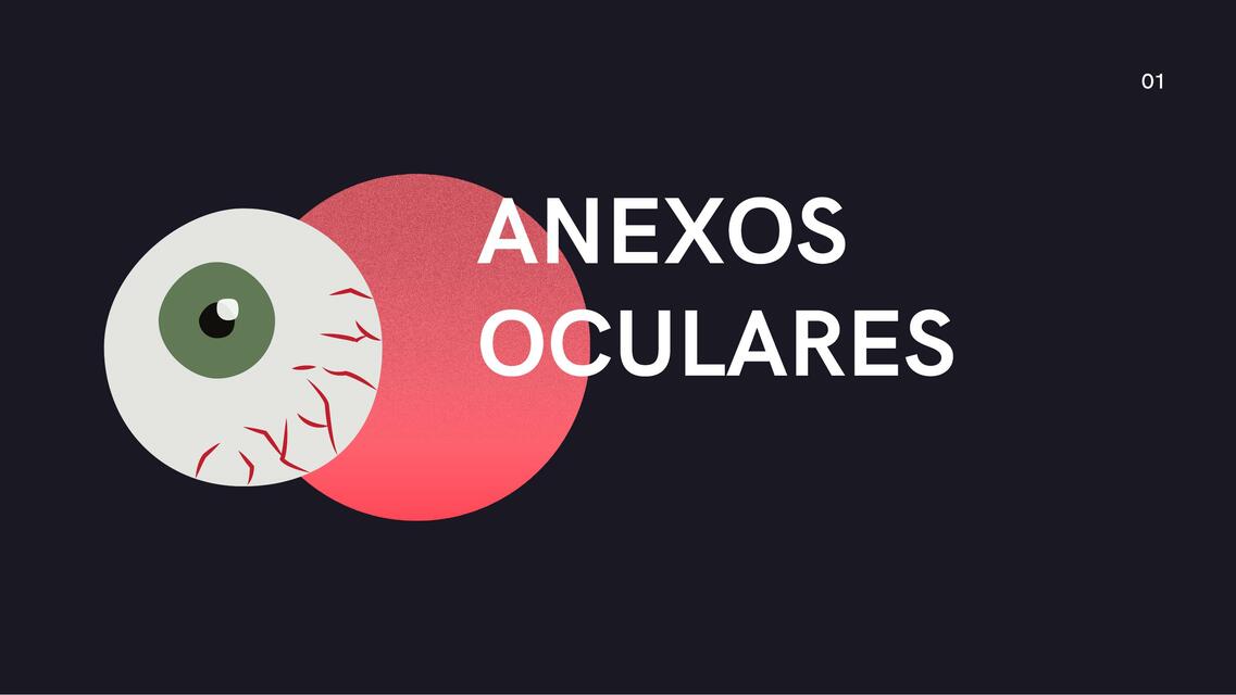 Anexos oculares (párpados, cejas, pestañas etc) cuales son y como se ...