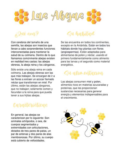 Las abejas | Fernanda Ochoa | uDocz