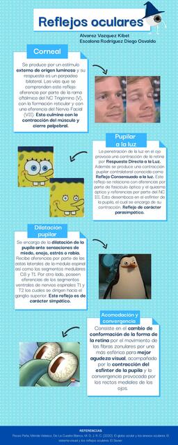 Reflejos oculares | IOVANNY CRUZ OJEDA | uDocz