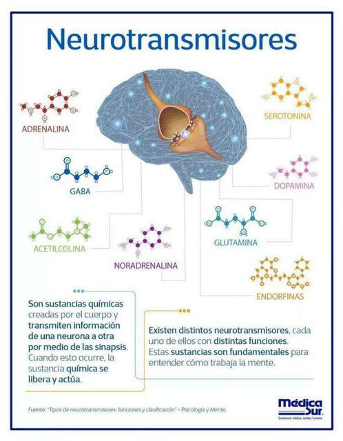 Neurotransmisores 2 | YUDOC.ORG | uDocz