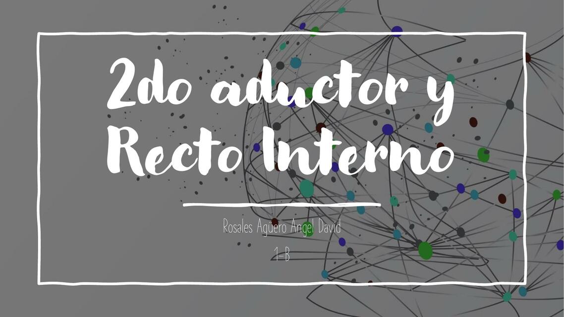 2do aductor y Recto Interno | Norberto Peralta Vences | uDocz
