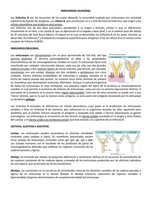 Anticuerpos | IOVANNY CRUZ OJEDA | uDocz