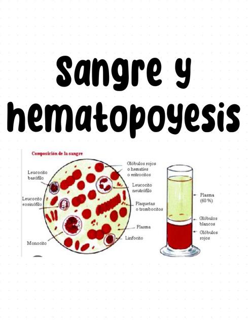 Sangre y Hematopoyesis | Anton | uDocz