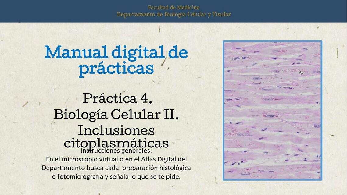 Inclusiones Citoplasmáticas | Jessy González | uDocz