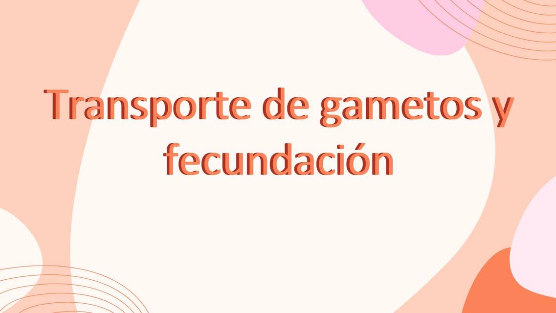 Transporte de Gametos y Fecundación | Jessy González | uDocz