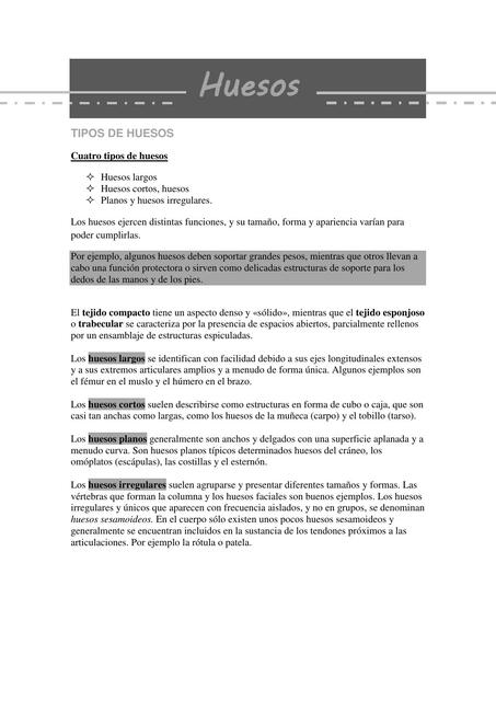 Huesos | Agustina | uDocz