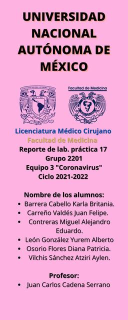 Reporte práctica 17 eumicetoma | IOVANNY CRUZ OJEDA | uDocz