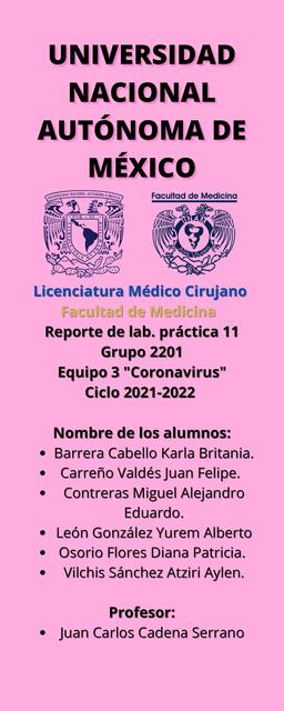 Reporte práctica 11 coronavirus | IOVANNY CRUZ OJEDA | uDocz