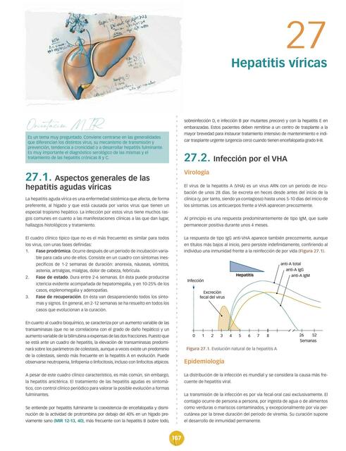 Hepatitis víricas | Full ciencia | uDocz
