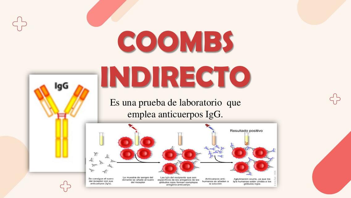 Coombs Indirecto | Nancy | uDocz