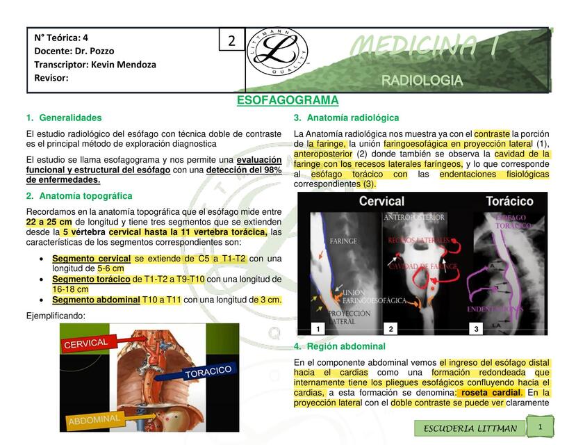 Rx de Esófago Estómago y Duodeno | Genesis Quino | uDocz