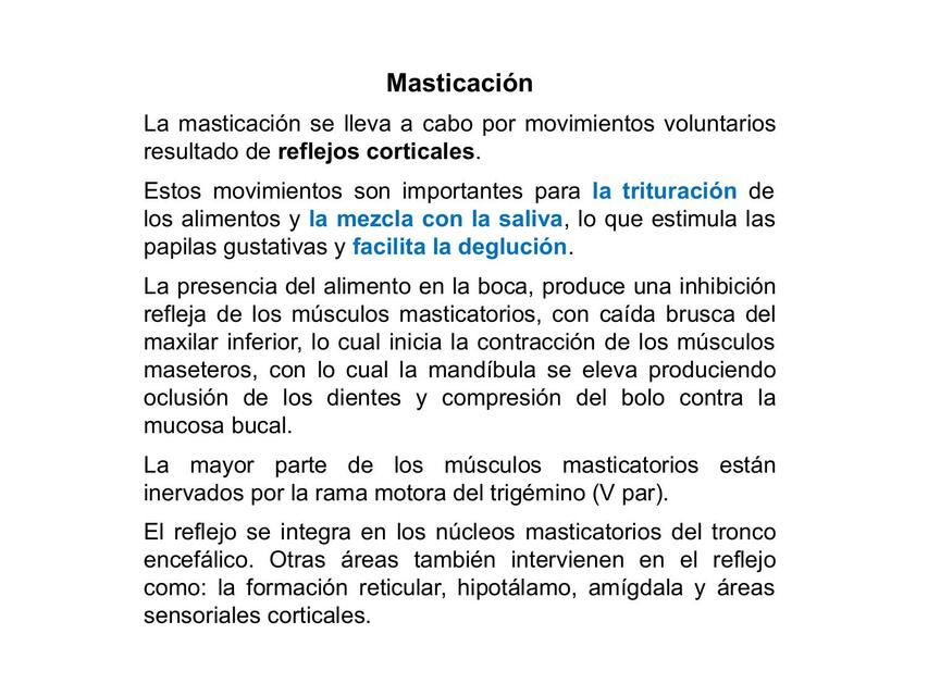Masticación y deglución | IOVANNY CRUZ OJEDA | uDocz