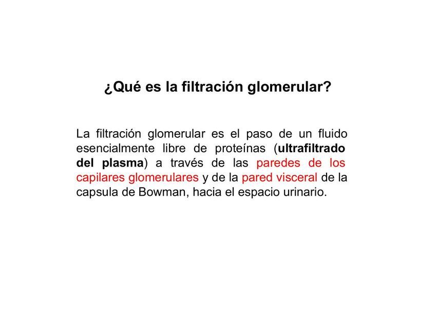 Filtración glomerular | IOVANNY CRUZ OJEDA | uDocz