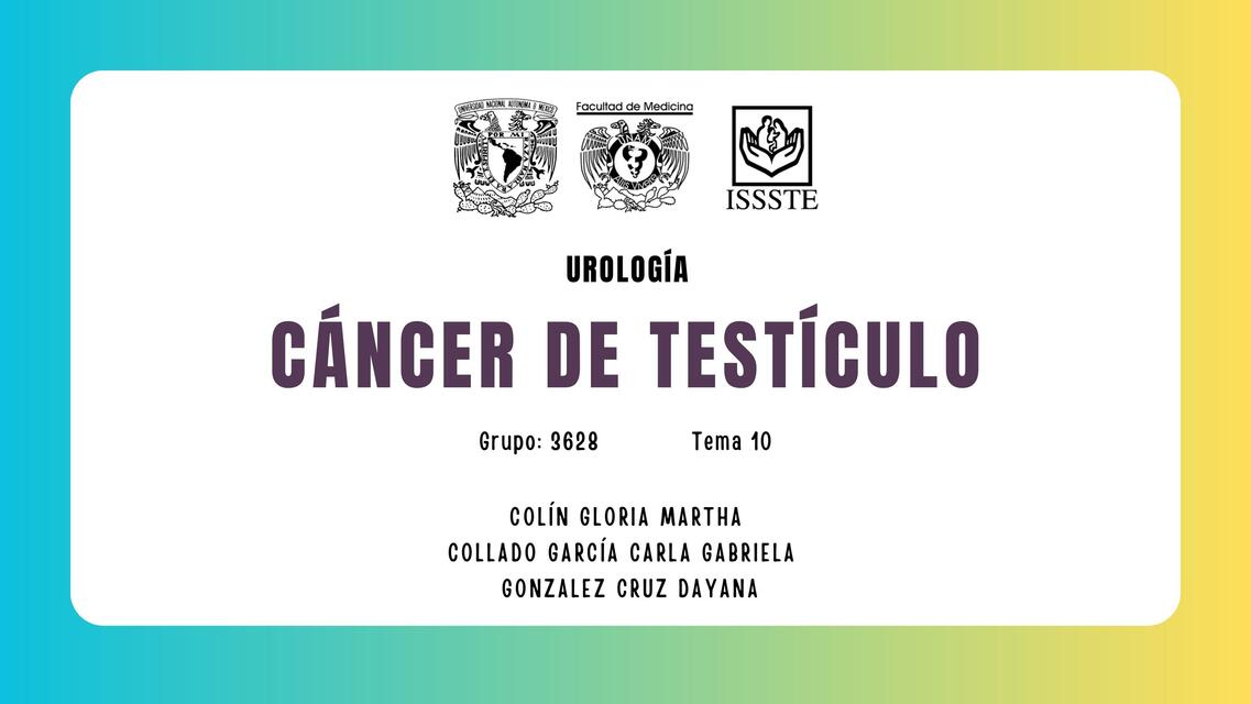 Cáncer De Testículo Jessy González Udocz
