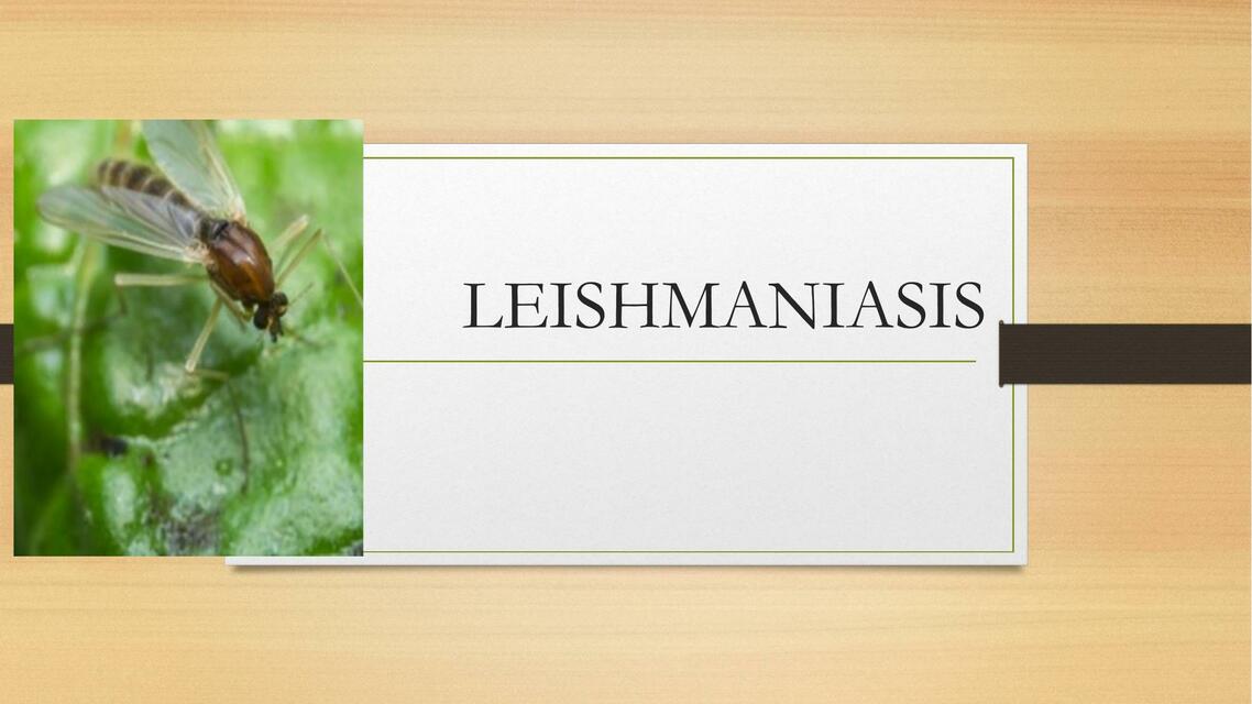 LEISHMANIASIS | Aida NursNotes | uDocz