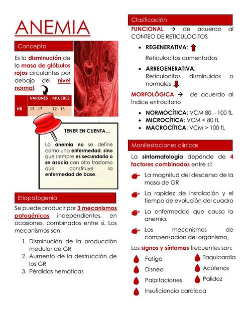 Anemia | Graciela A Huigua Mnedez | uDocz