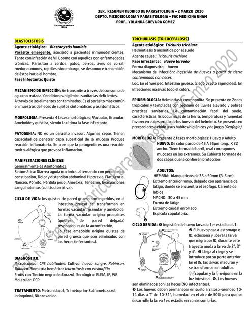 Resumen del Bloque de Parasitología | IOVANNY CRUZ OJEDA | uDocz