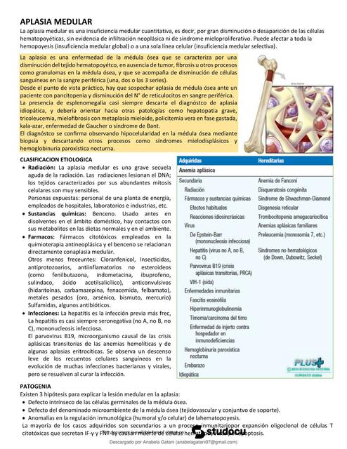 Aplasia Medular | Anabela Gatani | uDocz