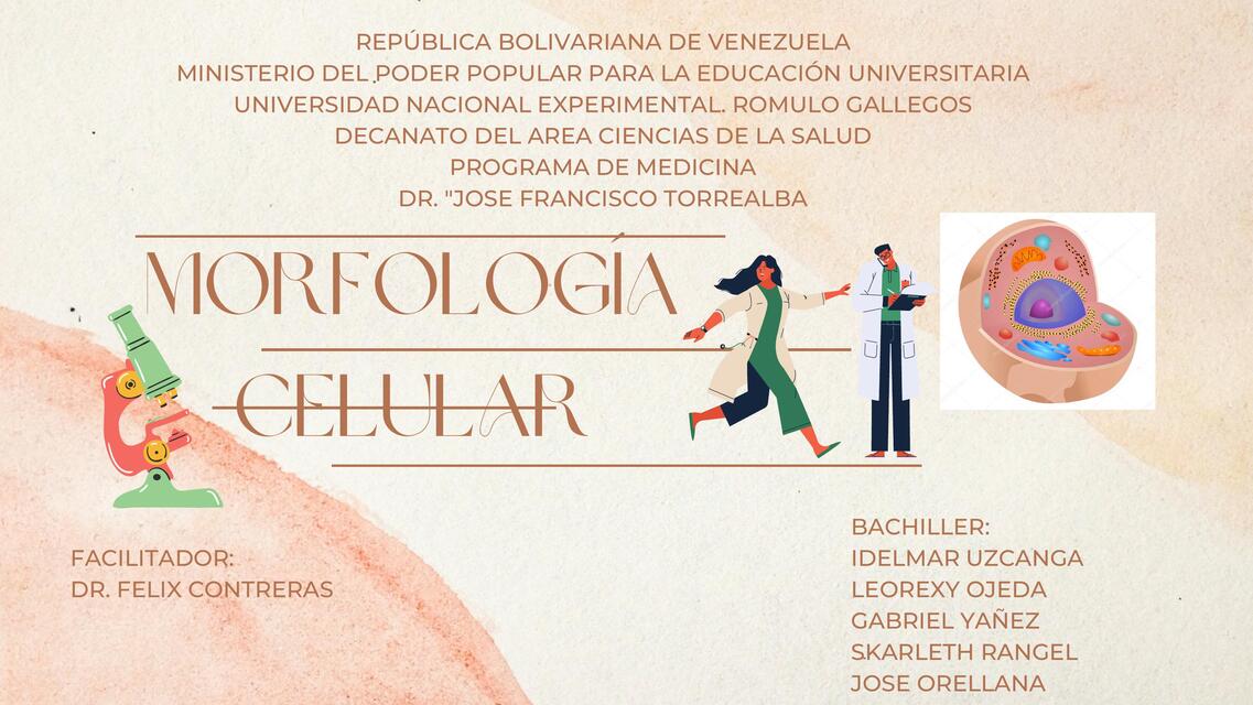 BIOLOGÍA morfología celular | uDocz