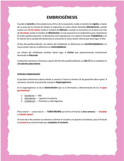 Embriogenesis | Zoe Mandujano | uDocz