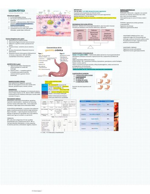 GASTRITIS Y ÚLCERA PE´PTICA | Renzo Luján | uDocz