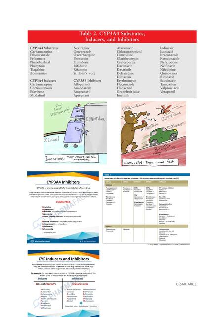 Resumen segundo bloque farmacología | IOVANNY CRUZ OJEDA | uDocz