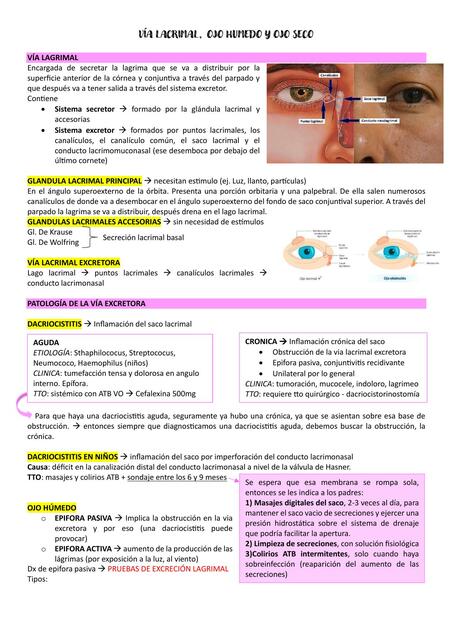 Vía lagrimal ojo seco y ojo humedo | Karine Bacellar | uDocz