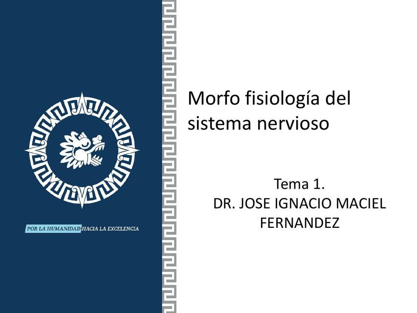 SIstema nervioso | Cinthia Aneth Rojas Peña | uDocz