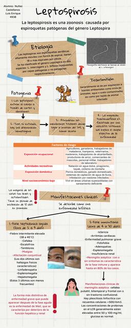 Leptospirosis | Jessy González | uDocz
