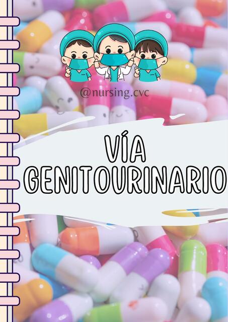 Vía de administración GENITOURINARIO | nursing.cvc | uDocz