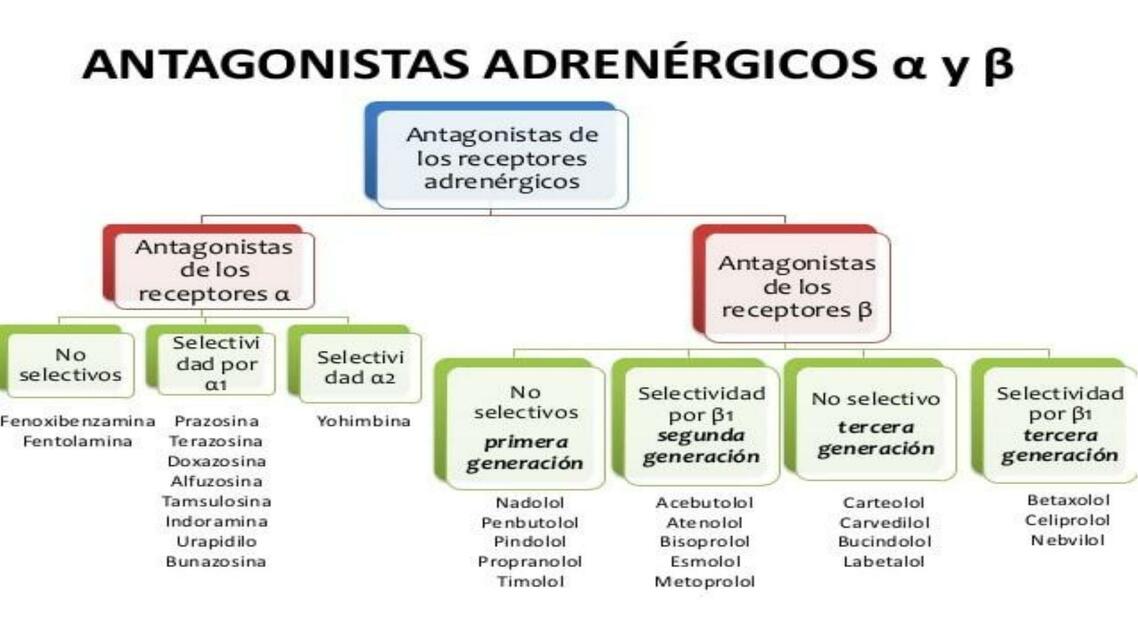 ANTAGONISTAS DE LOS RECEPTORES ADRENERGICOS | @CUIDADO.MEDICO | uDocz