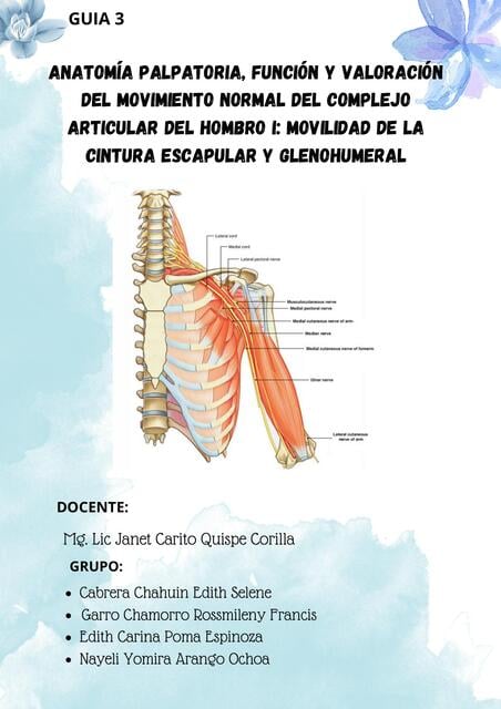 Movilidad de la cintura escapular y glenohumeral | Edith cabrera | uDocz