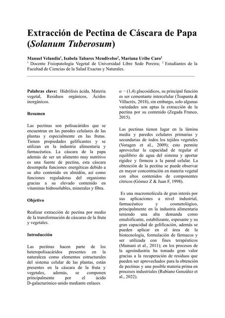 Extracción de Pectina de Cáscara de Papa | Isabela Tabares Mendivelso ...