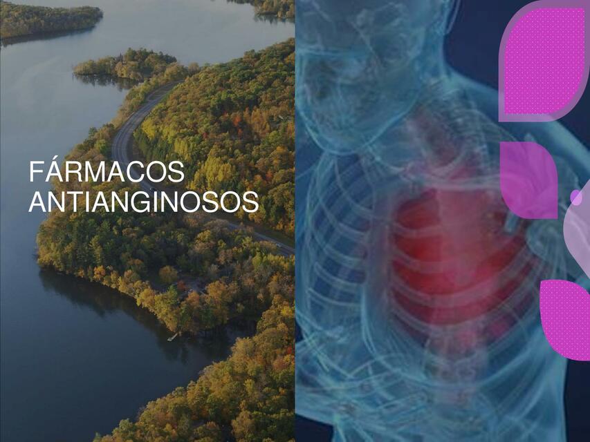 Fármacos Antianginosos | Catalina Guerra | uDocz