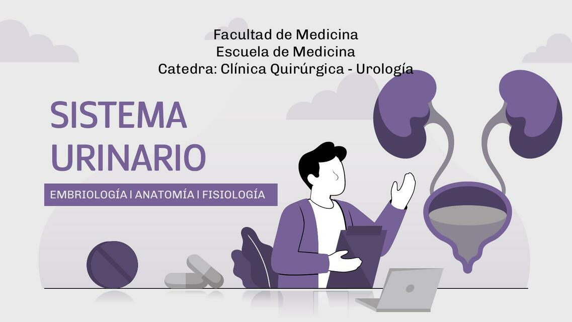 Sistema Urinario | Yoselyn López | uDocz