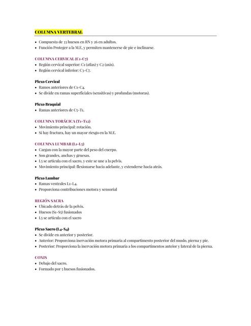Generalidades de la Columna Vertebral | Physio Studies | uDocz