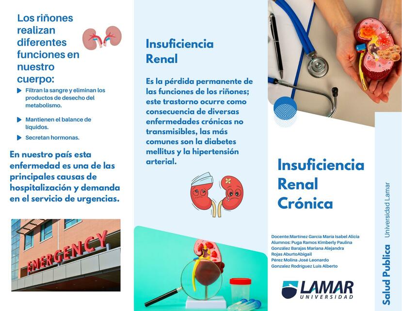 Tríptico Folleto Insuficiencia Renal | Paulina Puga | uDocz