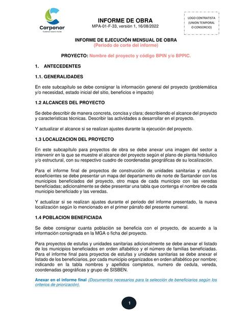 Informe de Ejecución Mensual de Obra | Heidy guzman poveda | uDocz