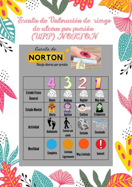 Resúmenes de Escala de Norton | Descarga apuntes de Escala de Norton