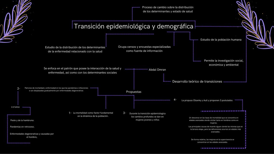 Mapa Conceptual -Transición Epidemiológica y demográfica | Sharon ...