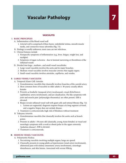 Vascular Pathology | Hito Cano Daneshka | uDocz