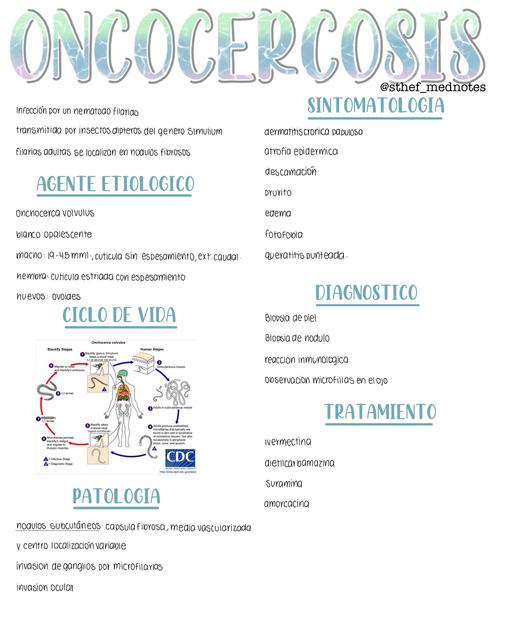Oncocercosis | Esthefany Pérez Zambrana | uDocz