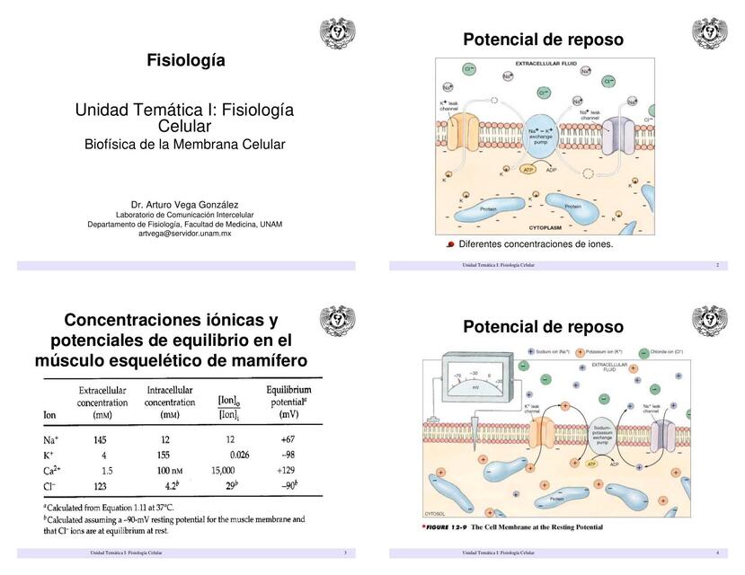 Biofisica de la membrana plasmática | IOVANNY CRUZ OJEDA | uDocz