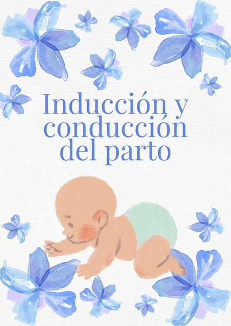 Inducción y conducción del parto | Luisana Aneth CR | uDocz